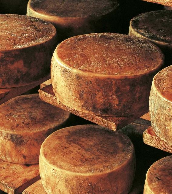 Delicatessen cheese variety in Croatia | Croatia.hr