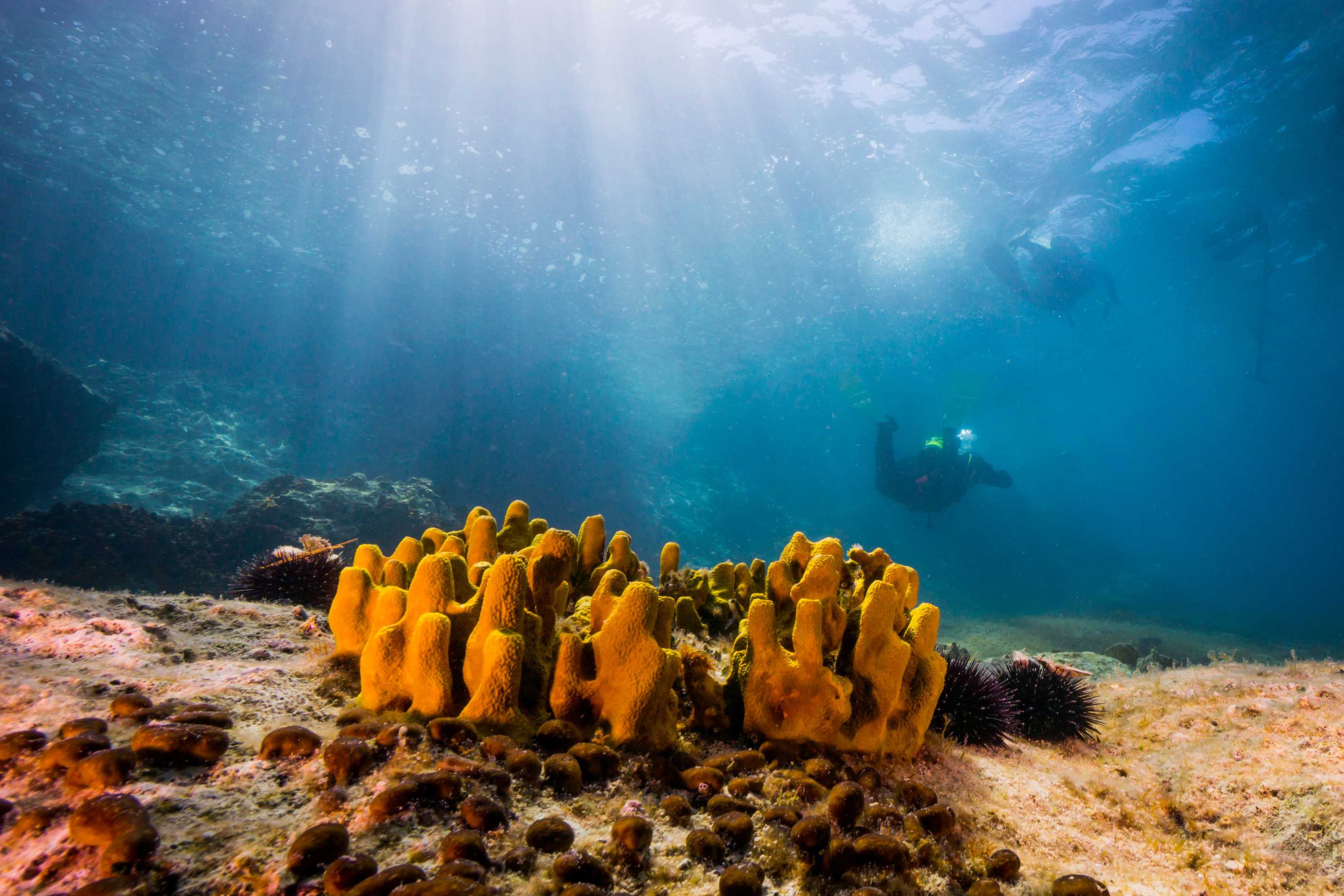 Ronjenje za djecu - savjeti i mjere opreza | Croatia.hr