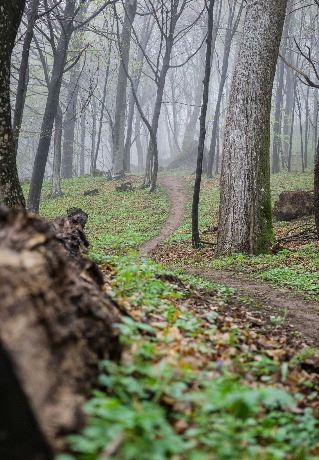 Netaknuta priroda i prirodne ljepote Hrvatske I Croatia.hr