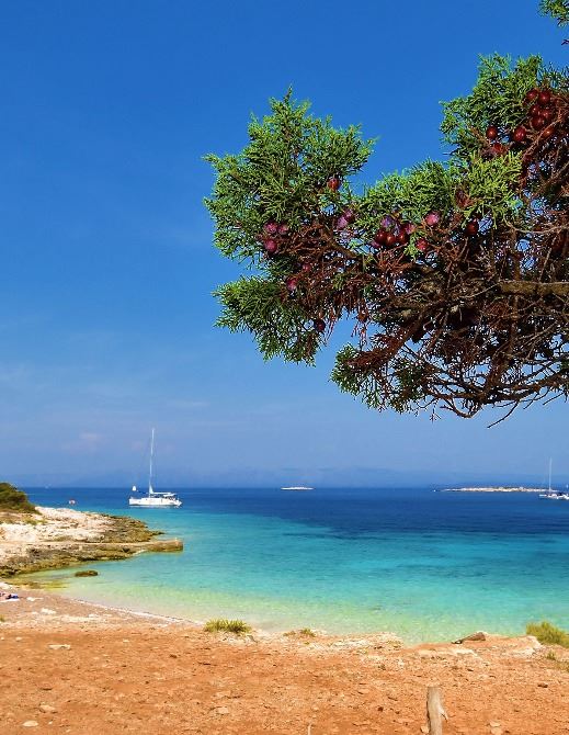 Croatia.hr | Playa Batalo