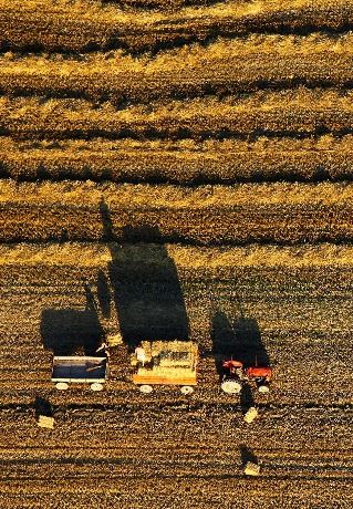 Slavonia: discover the magic of Croatia's east | Croatia.hr