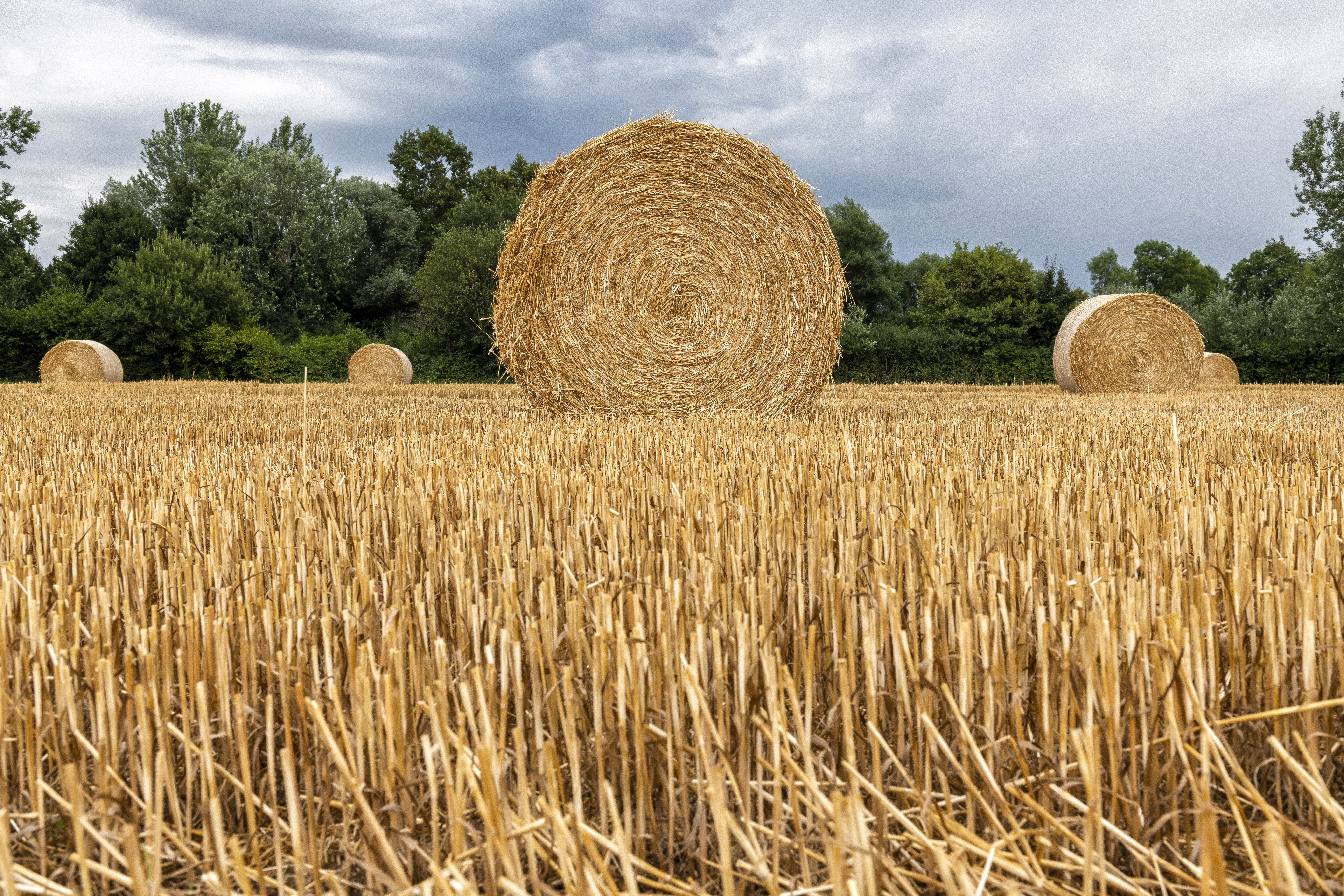 Visit Ivanić-Grad | Ivanić Grad