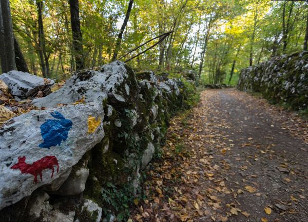 Visit Kastav | Kastav