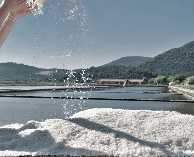 Visit Ston | Photo gallery