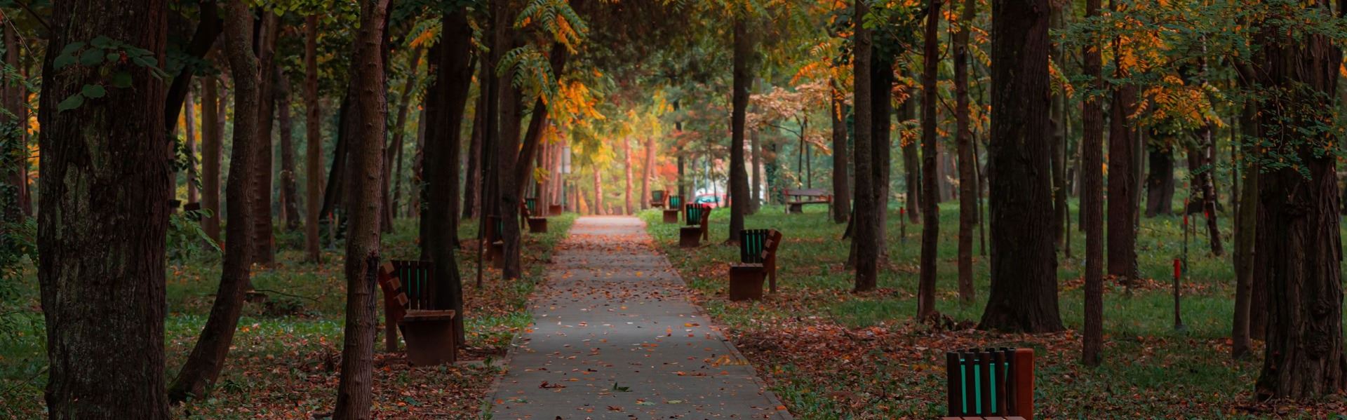 Park šuma Adica | Visit Vukovarsko-srijemska županija