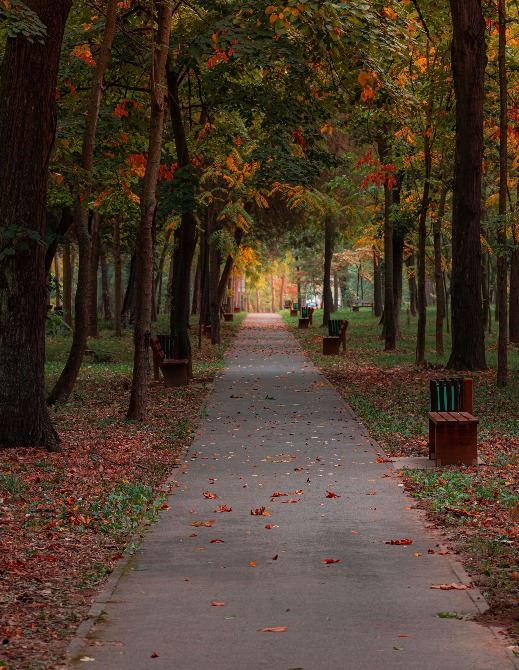 Park šuma Adica | Visit Vukovarsko-srijemska županija