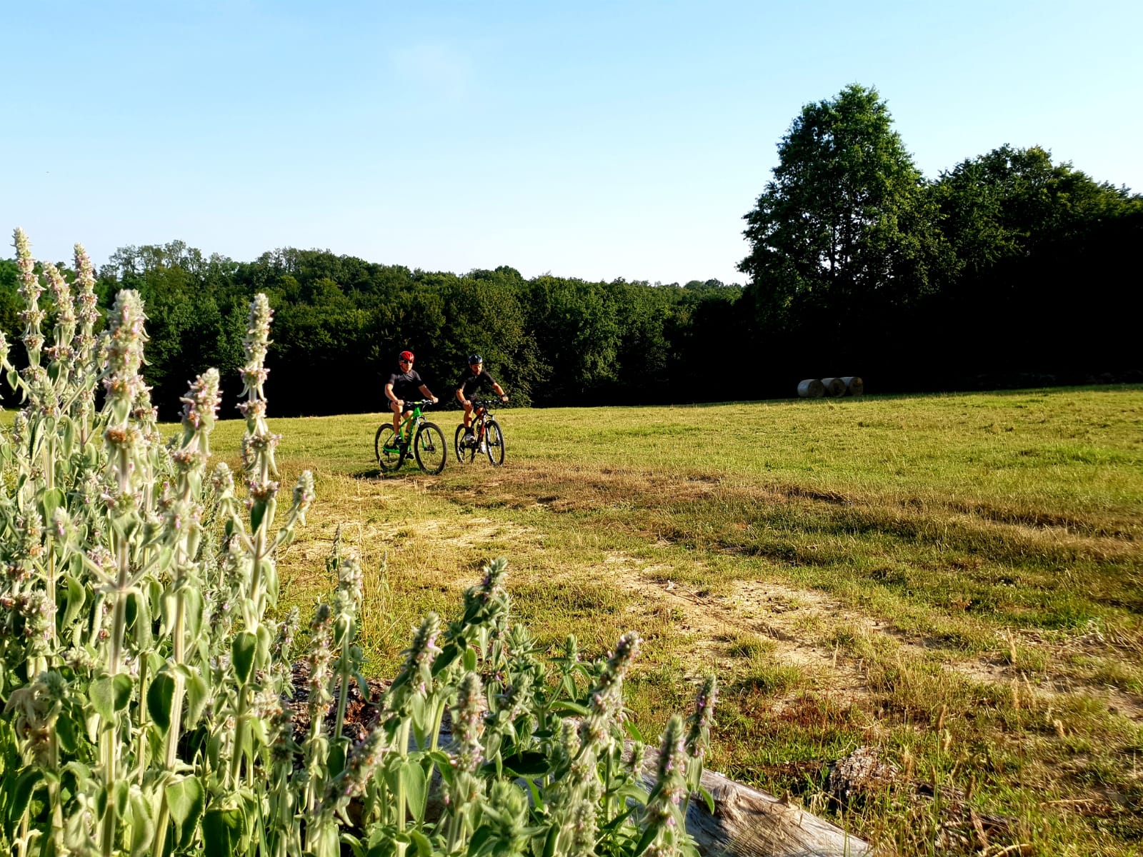 Visit Ivanić-Grad | Ivanić Grad