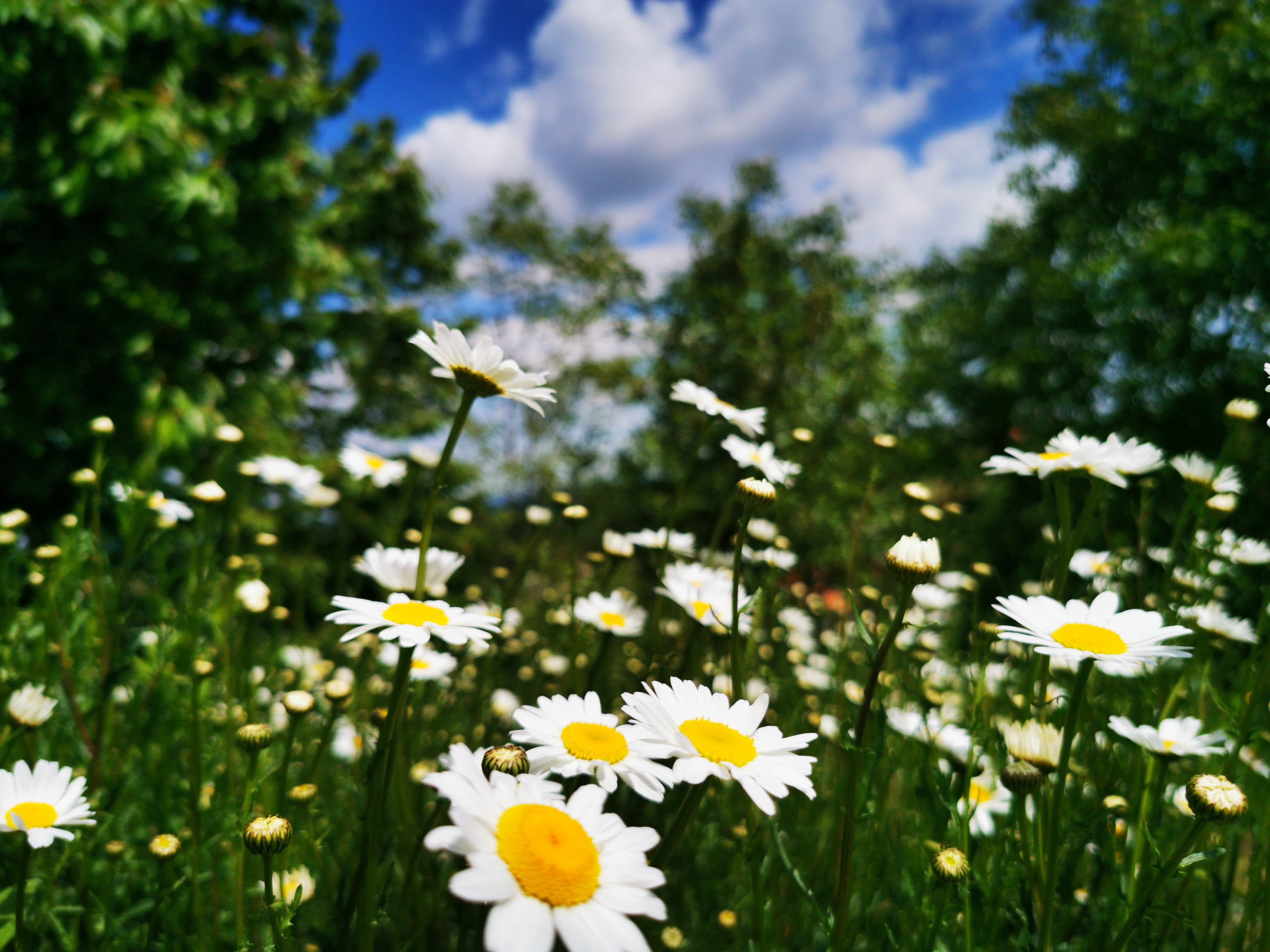 Visit Ivanec | Ivanec