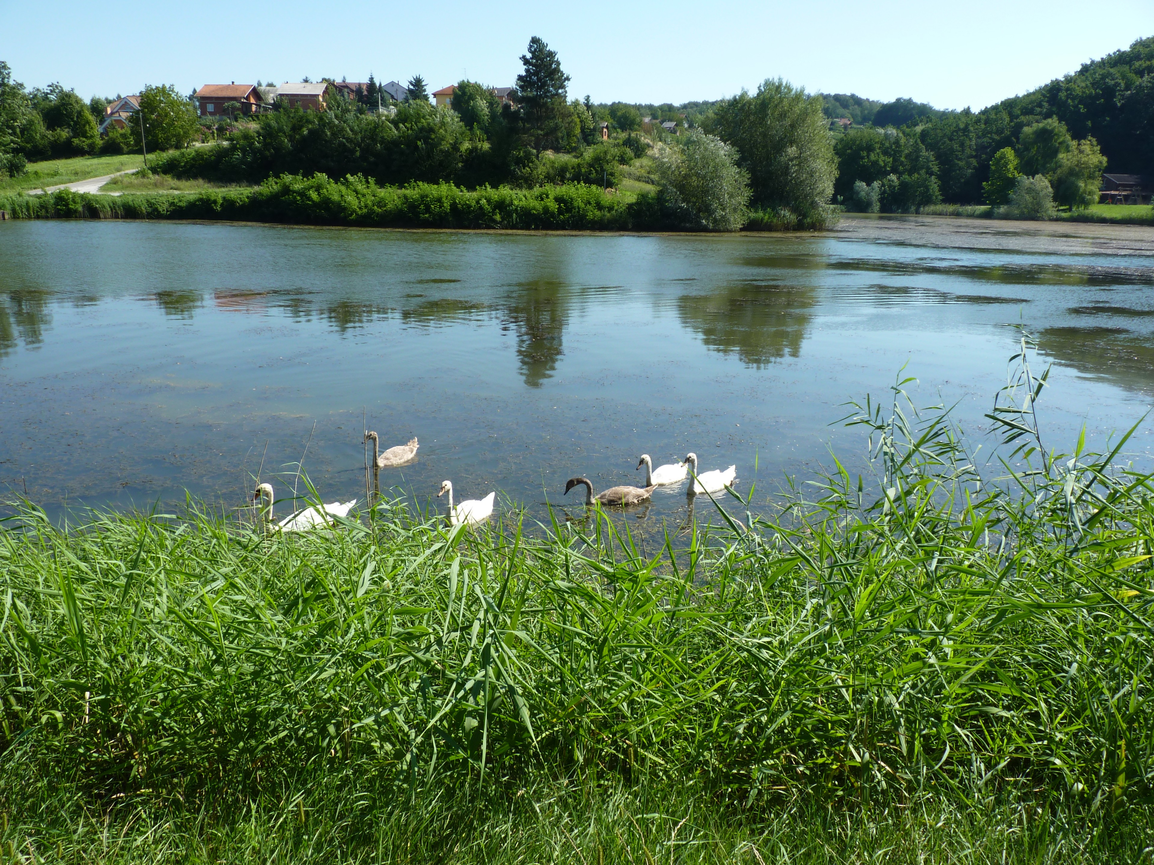 Visit Ivanec | Ivanec