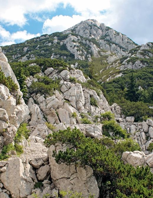 Velebit Nature Park - the largest mountain in Croatia