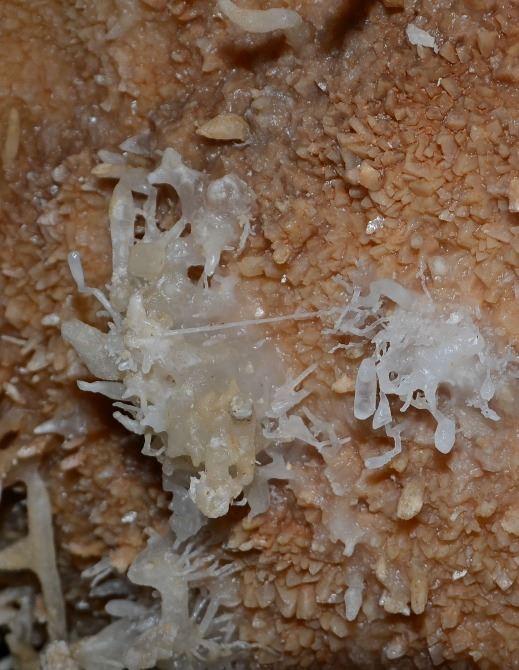 Modrič cave, Velebit nature gem | Croatia.hr