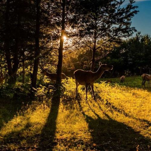 Visit Rakovica | Rakovica