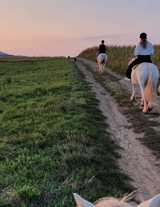 Visit Rakovica | Ranch Terra