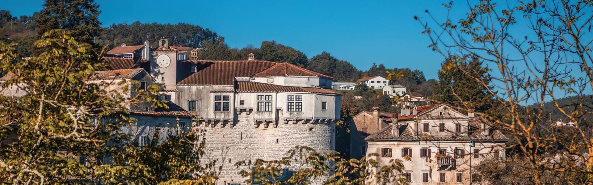 Visit Središnja Istra | Manifestacije