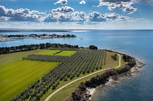 Visit Novigrad (Cittanova d'Istria) | Novigrad - Cittanova