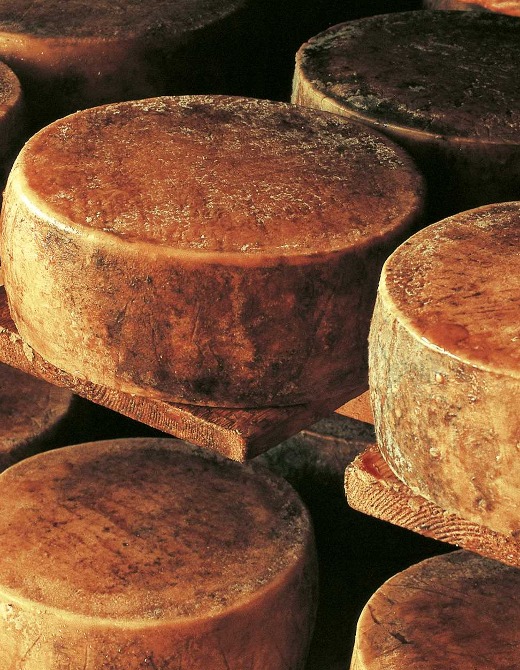 Pag cheese - the symbol of the island of Pag | Croatia.hr