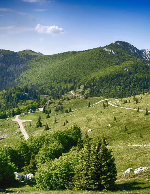 Park prirode Velebit - prirodna ljepota i najveća planina Hrvatske