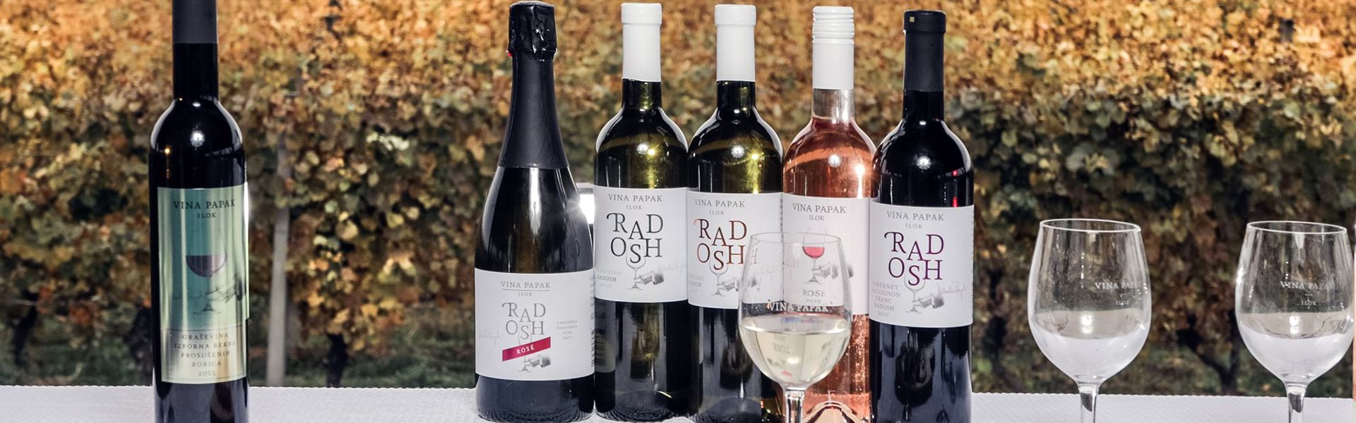 Visit Ilok | Viticulture and wine industry