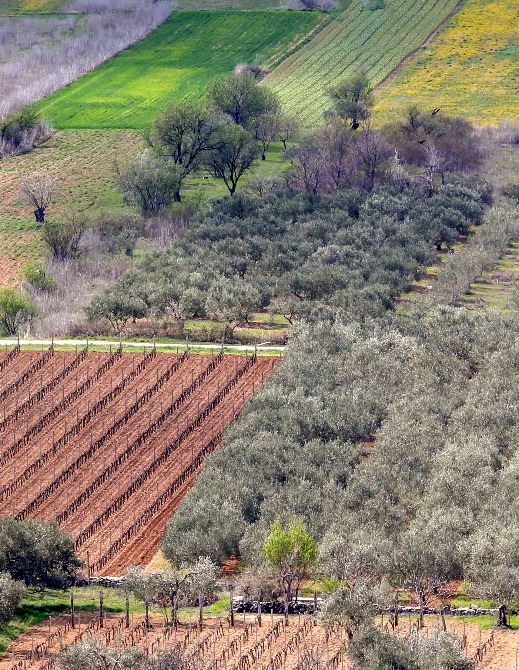 Visit Ravni Kotari | Ravni Kotari