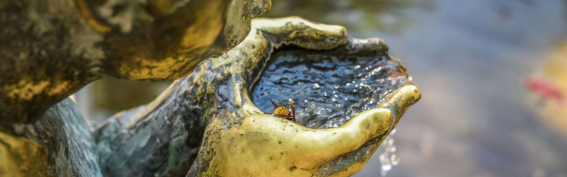 Visit Sinj | Znamenitosti